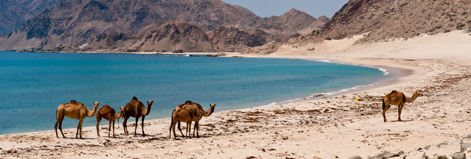 Hidden Gems of Oman Exploring the Unseen Wonders – Nimbus Holidays